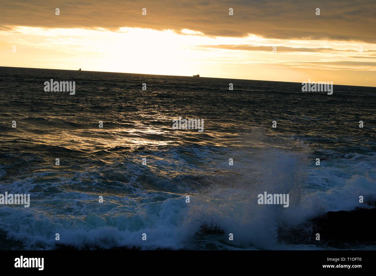 Golden glowing back lit hi-res stock photography and images - Alamy