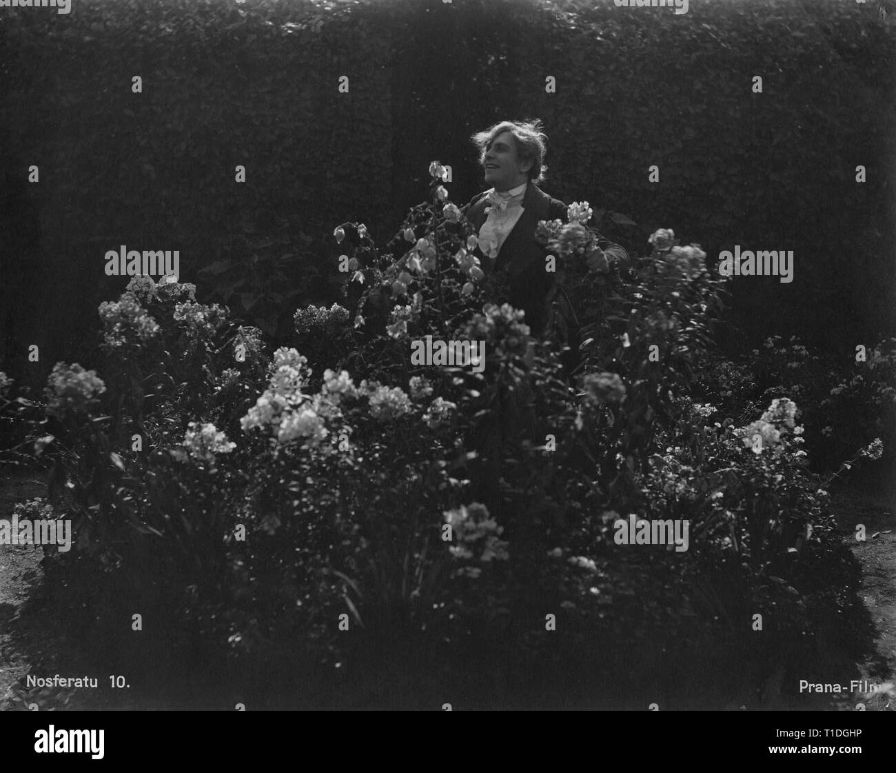 1922 film nosferatu hi-res stock photography and images - Alamy