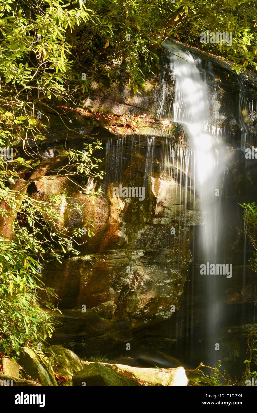 Hiking trails lead to small sunlit waterfall in forests and woodlands ...