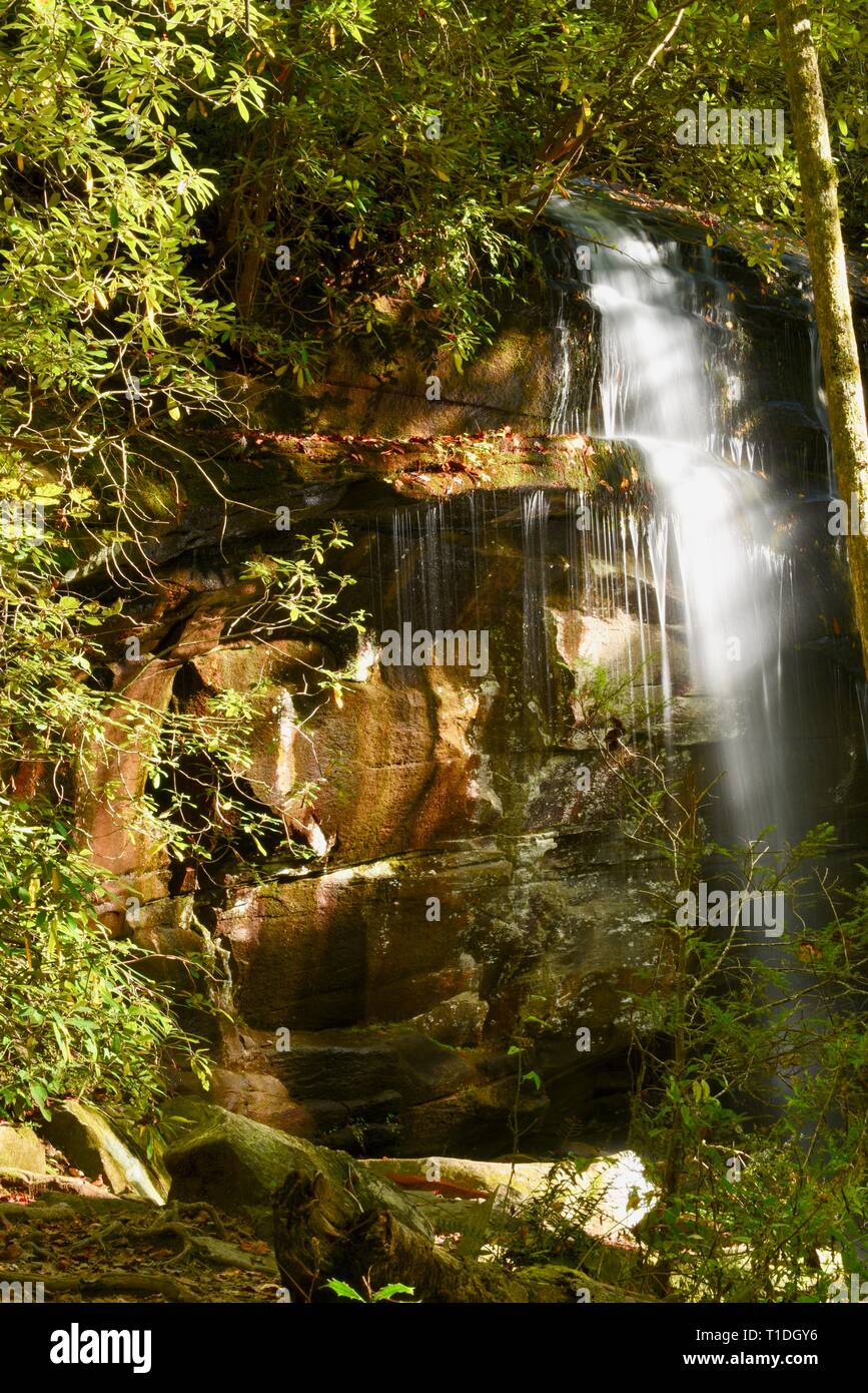 Hiking trails lead to small sunlit waterfall in forests and woodlands ...