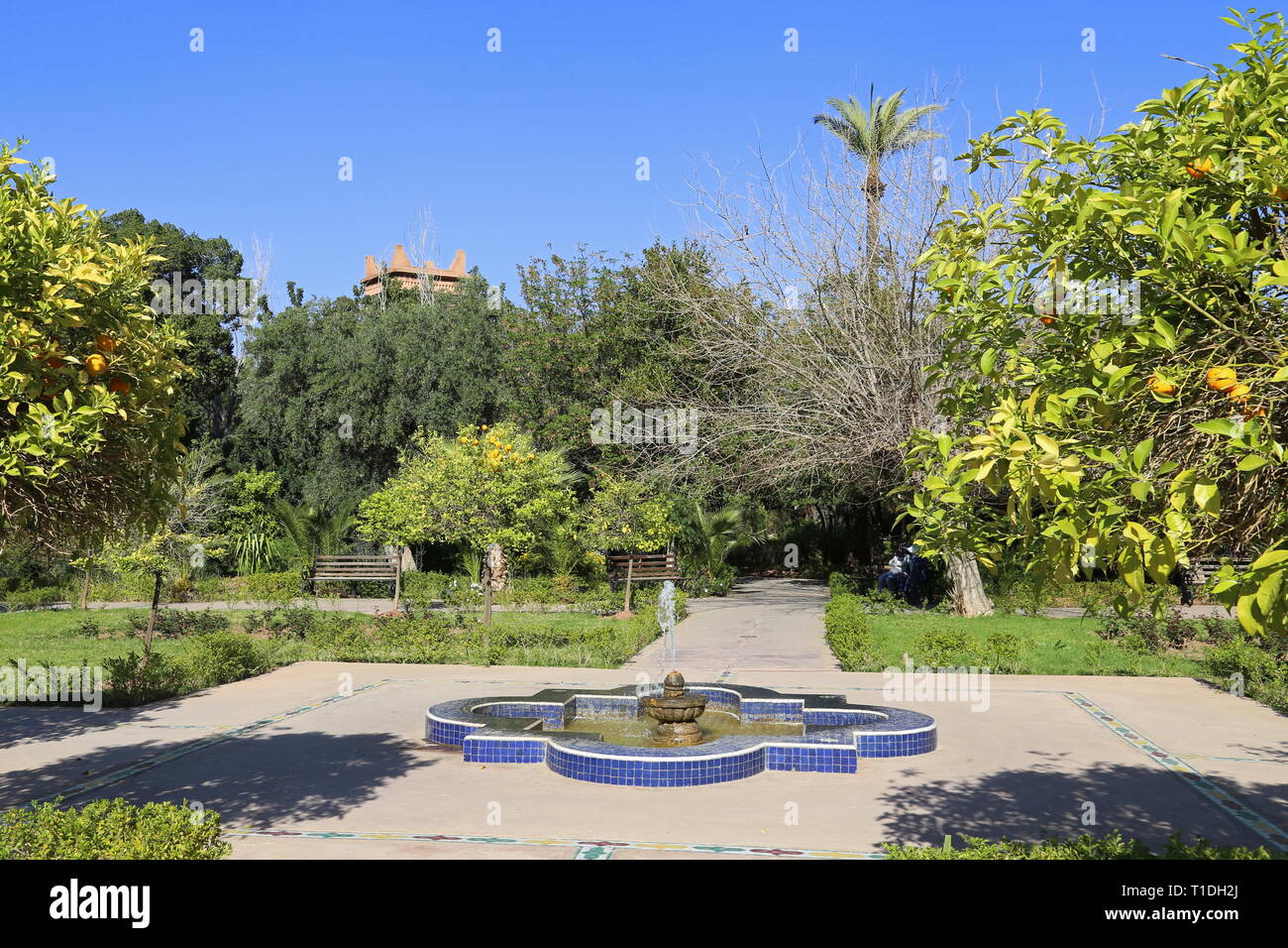 El harti garden hi-res stock photography and images - Alamy
