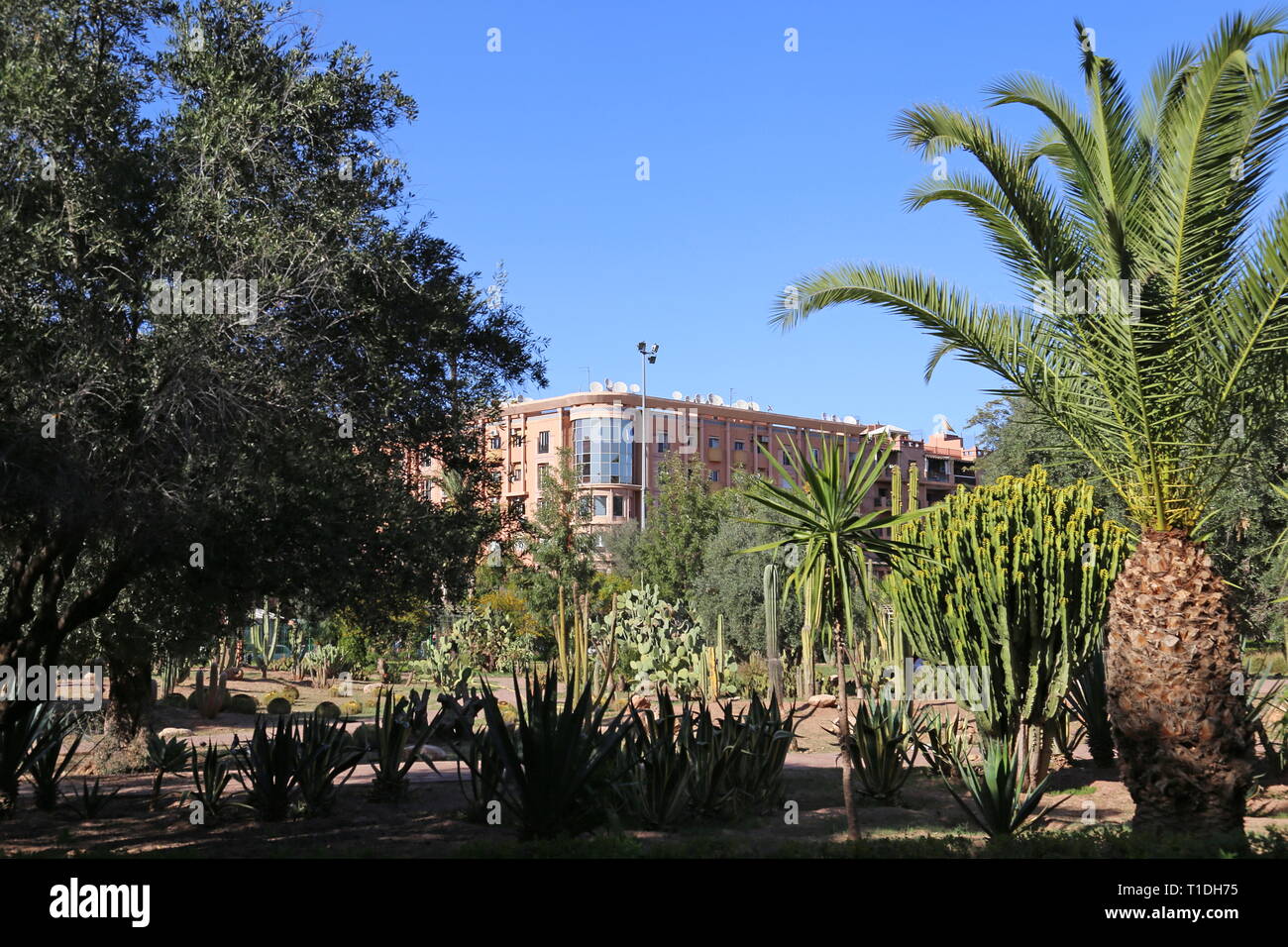 Jnane El Harti (Harti Garden), New City, Marrakesh, Marrakesh-Safi ...