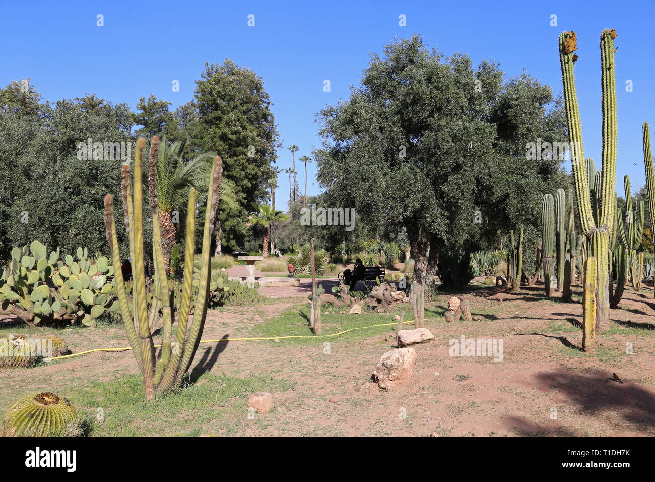 El harti garden hi-res stock photography and images - Alamy