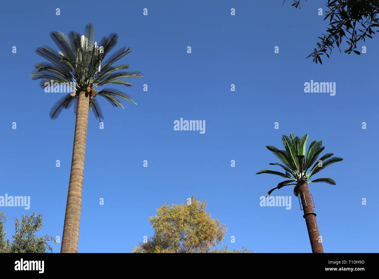 El harti garden hi-res stock photography and images - Alamy