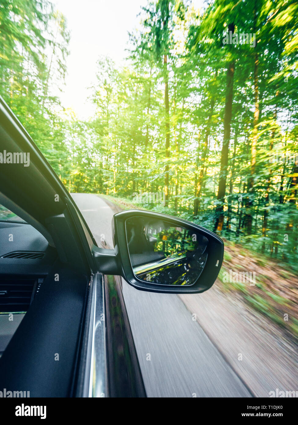 Vertical view of new modern car driving fast into forest with tall ...