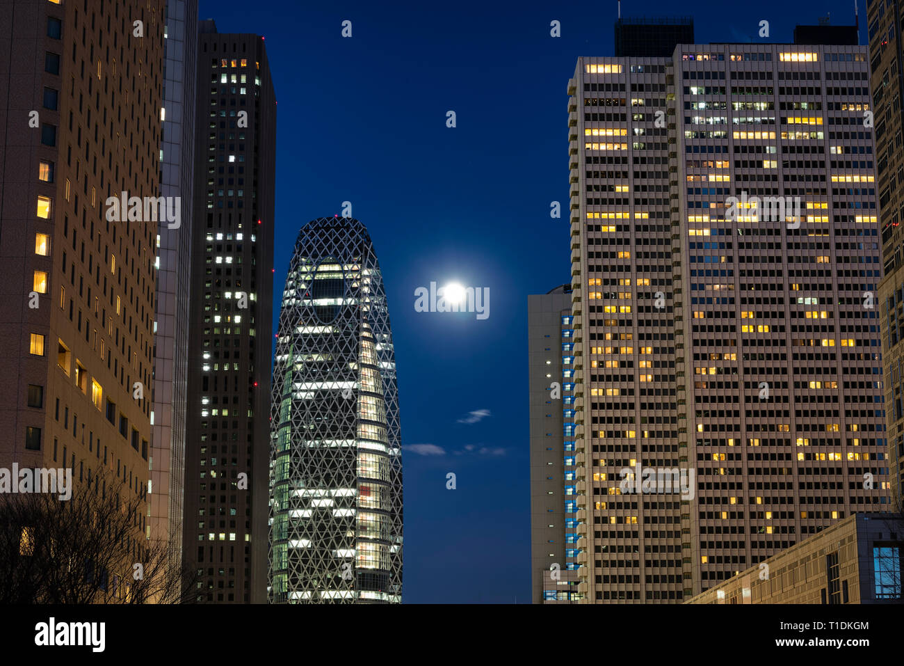 Tokyo Skyline at Night Stock Photo - Alamy