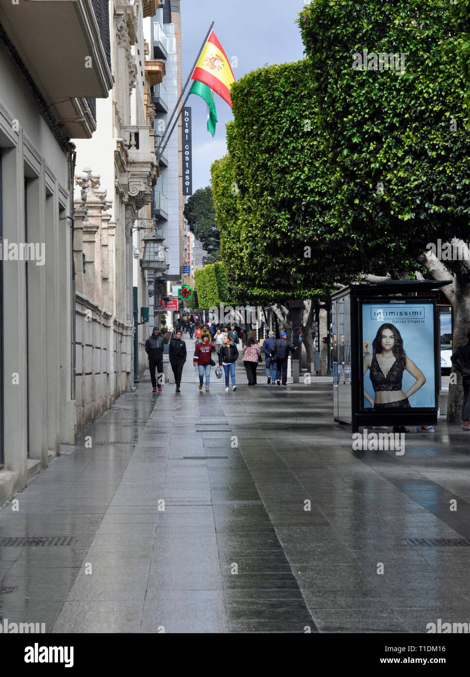 Paseo de Almeria, the tree-lined main street in the city of Almeria in ...