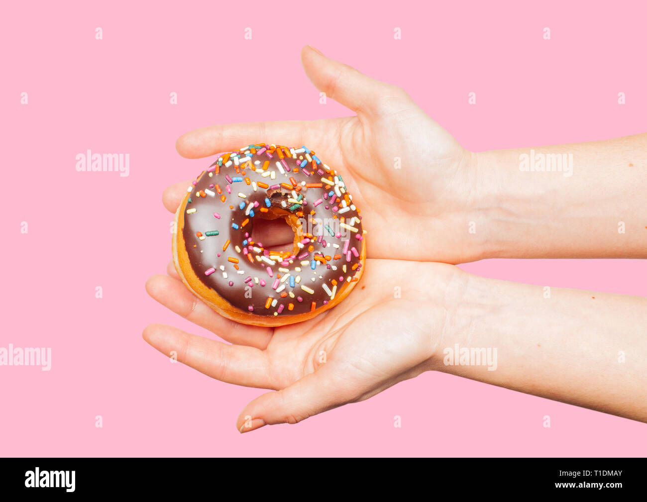 Female hands holding donut. Colorful donut on pastel pink background ...