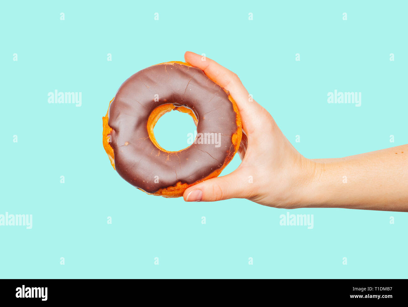 Female hand holding donut. Colorful donut on pastel blue background ...