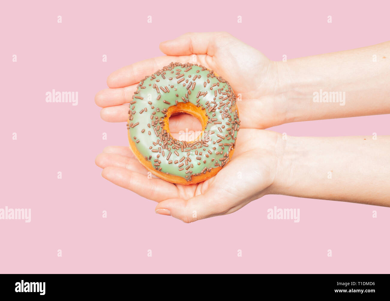 Female hands holding donut. Colorful donut on pastel pink background ...