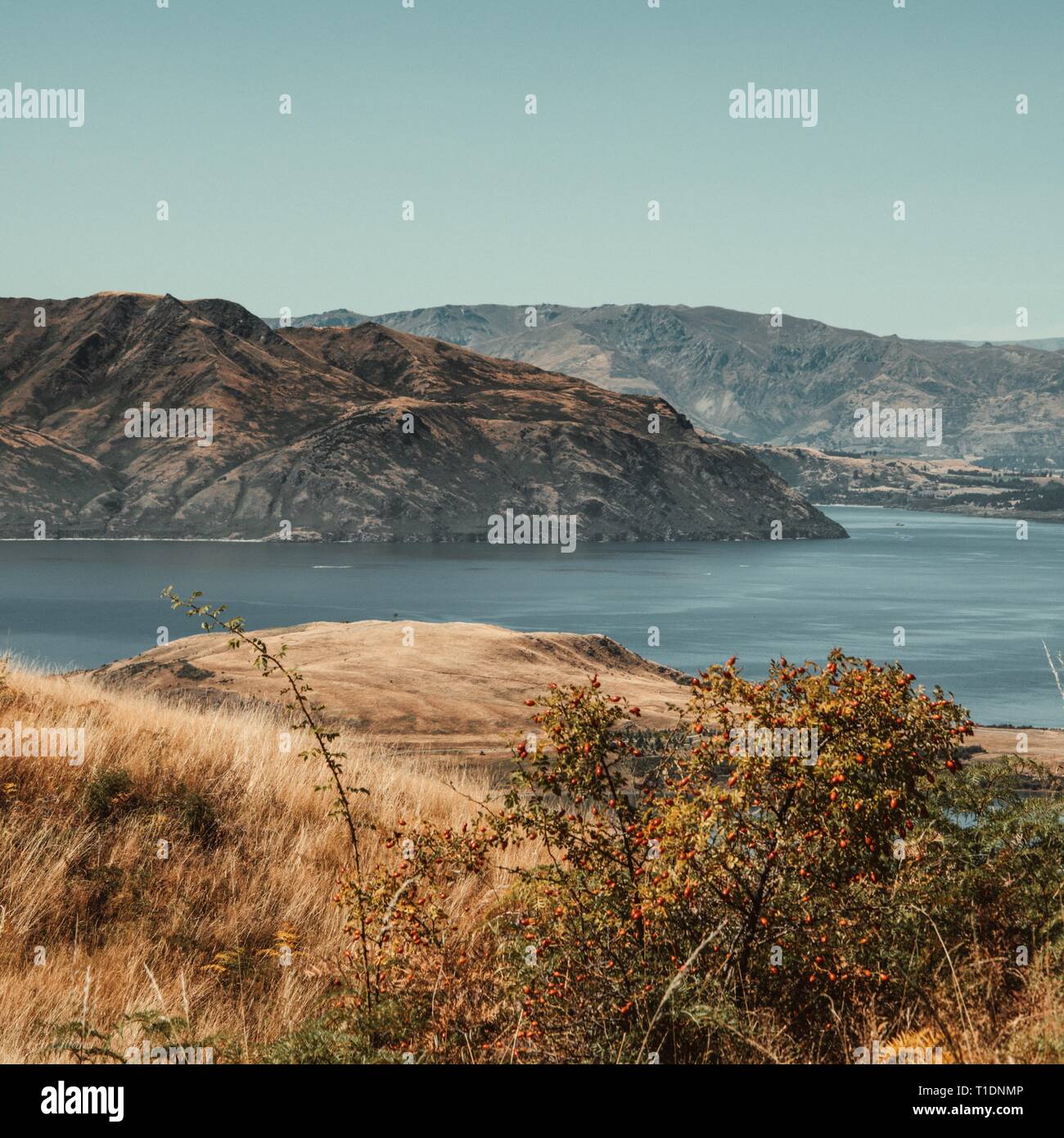 Nz from track hi-res stock photography and images - Alamy