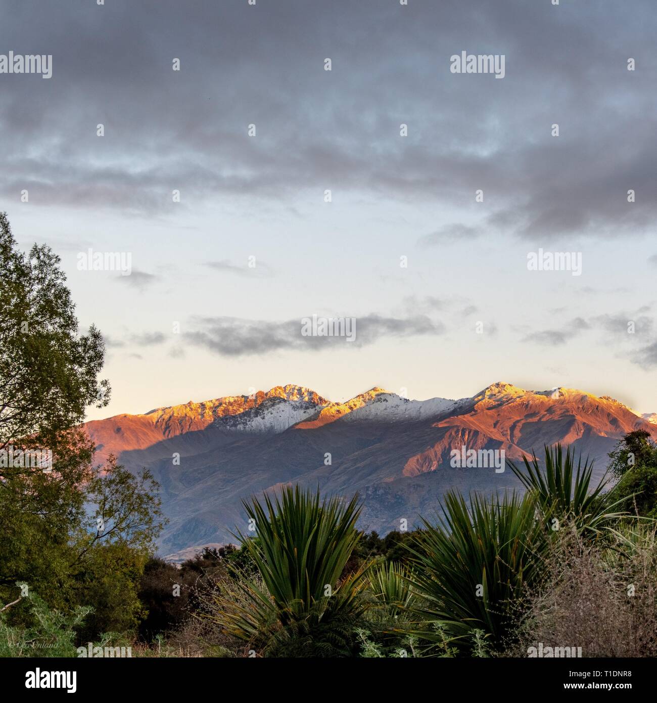 Rising over palm trees hi-res stock photography and images - Alamy