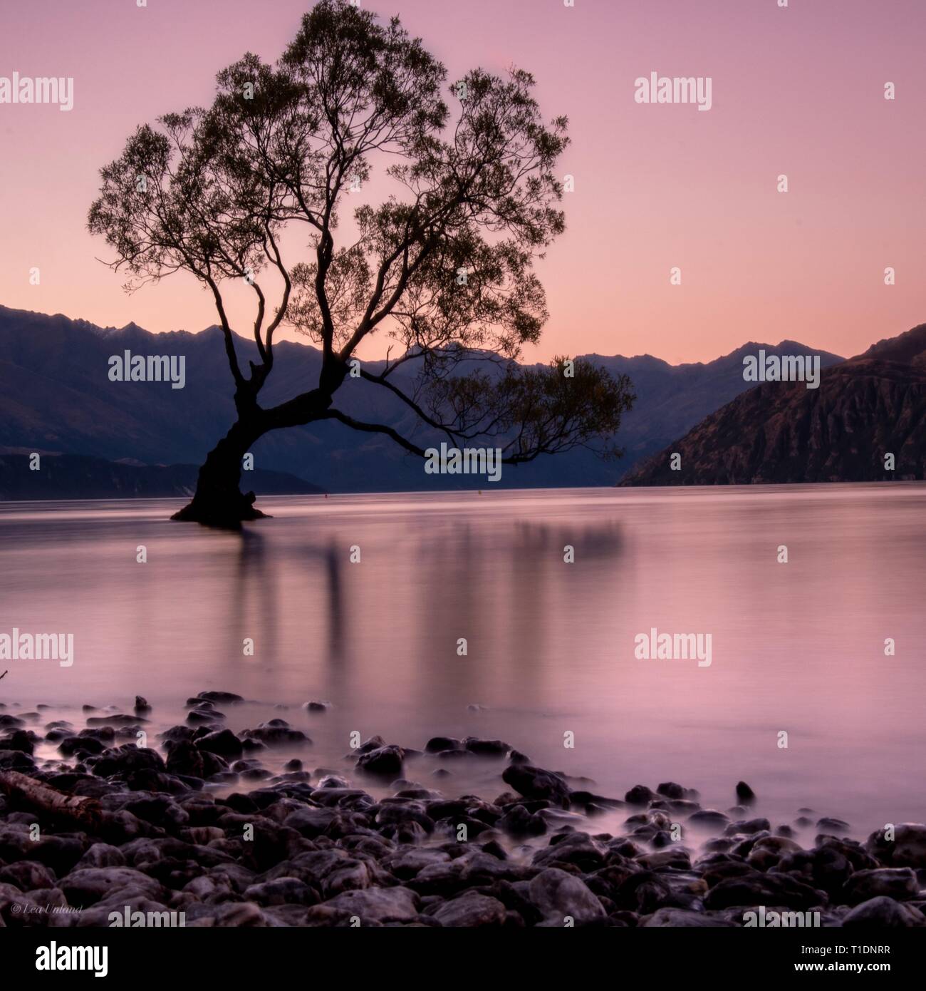 Wanaka attractions hi-res stock photography and images - Alamy
