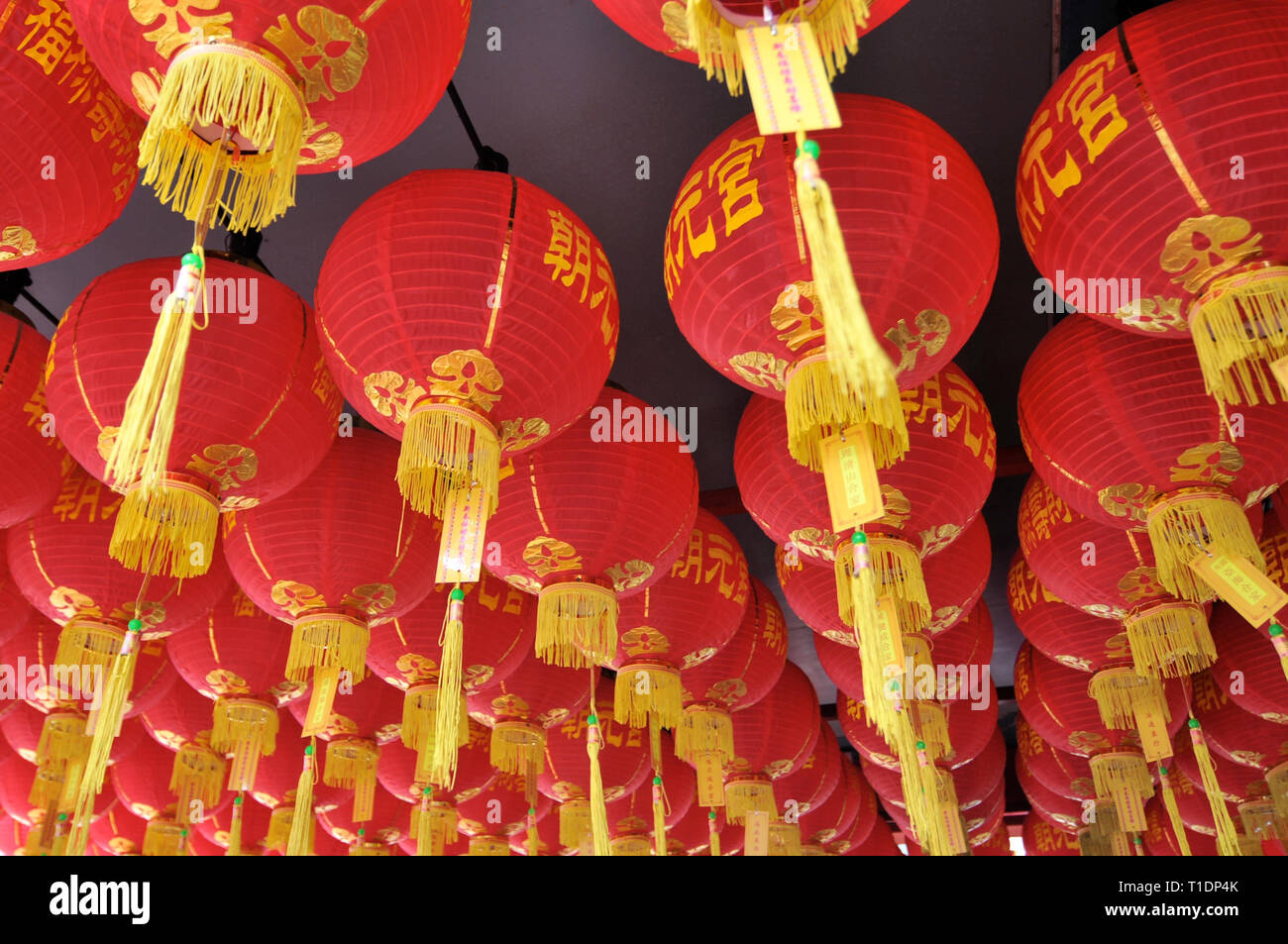 Red lanterns hanging from ceiling hi-res stock photography and images ...