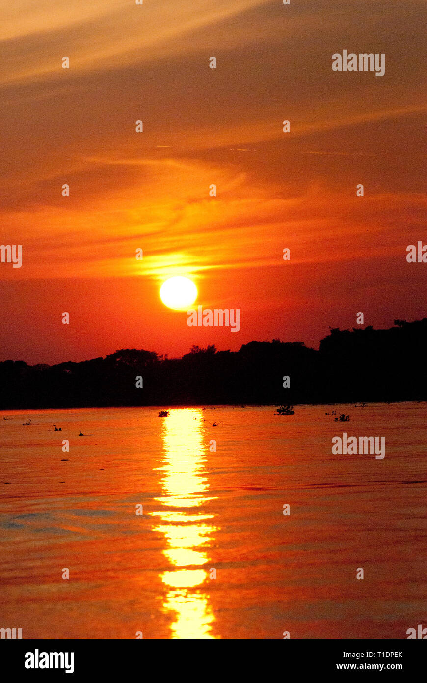 Sunset over the Pantanal in southern Brazil Stock Photo - Alamy