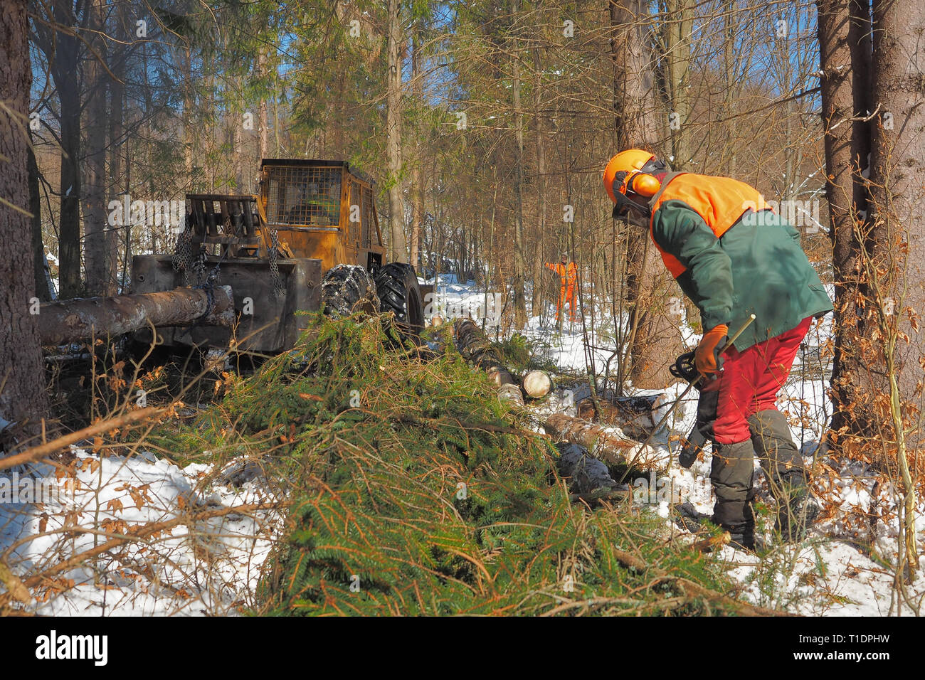 Power active hi-res stock photography and images - Alamy