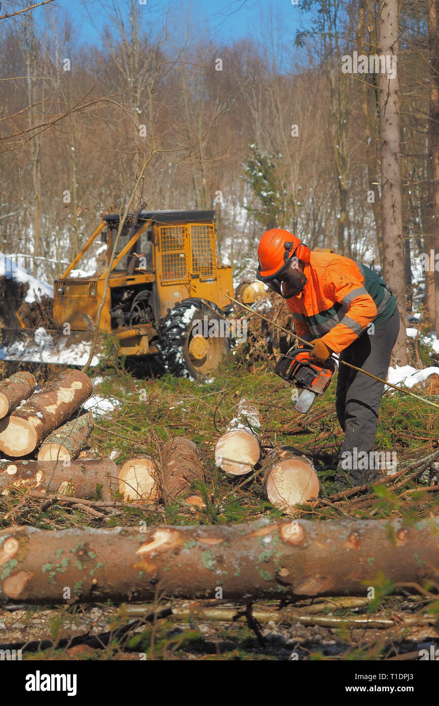 Working in the forest hi-res stock photography and images - Alamy