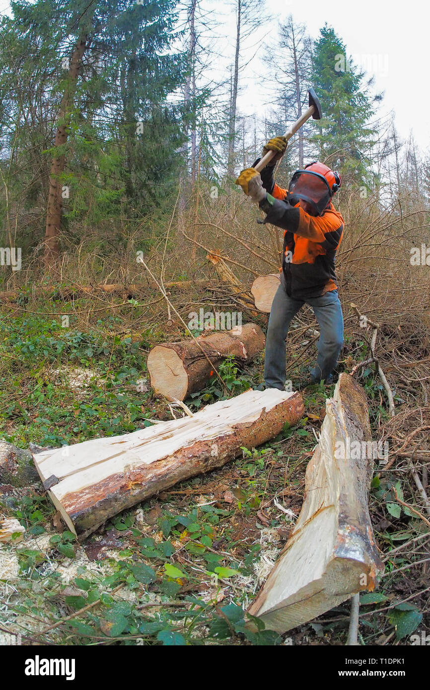 Forestry craftsmanship hi-res stock photography and images - Alamy