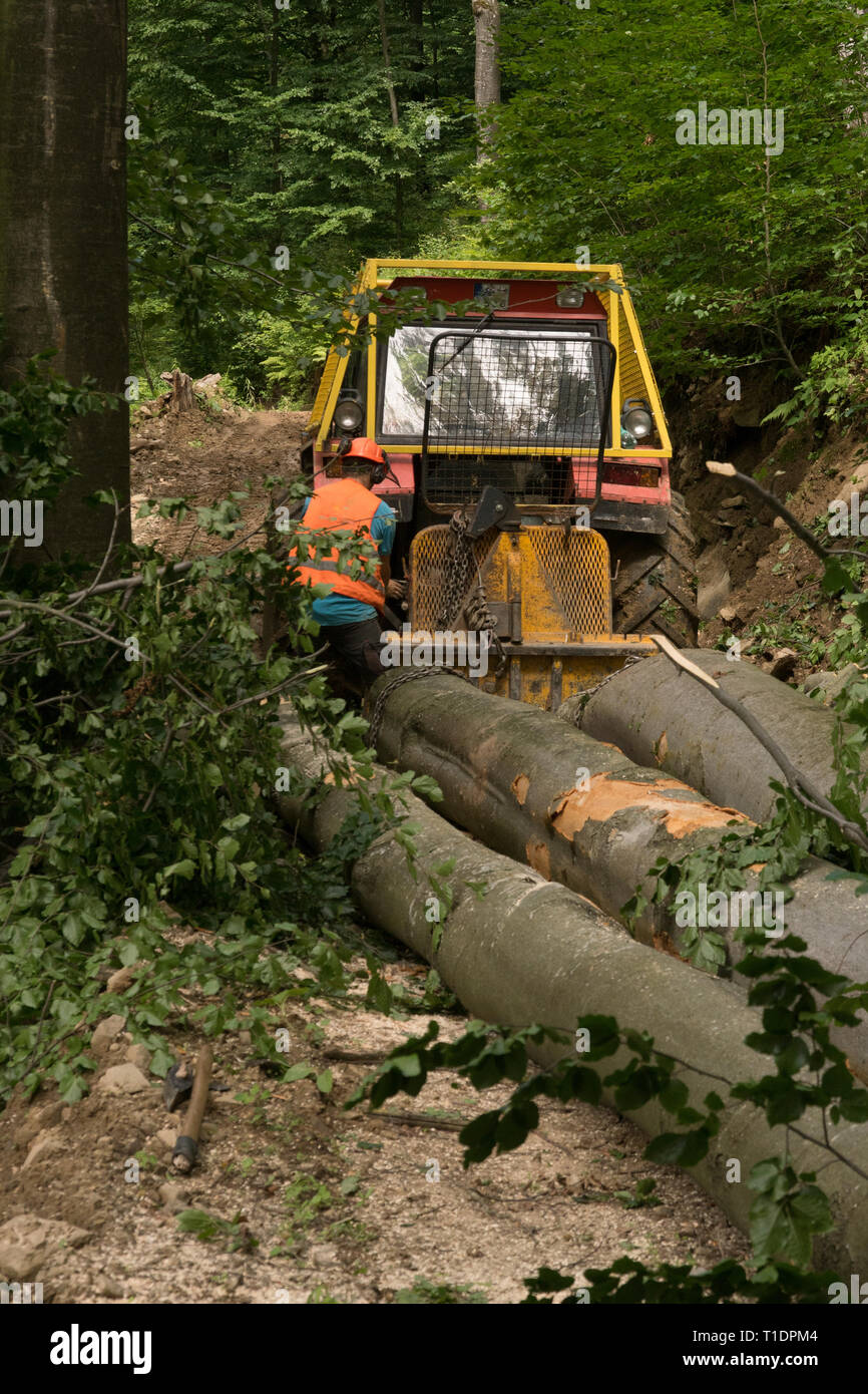 Lumber tractor hi-res stock photography and images - Alamy