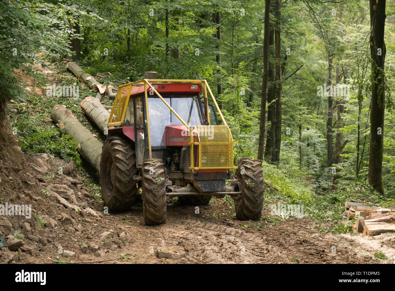 Specialist tractor working in a mountain forest Stock Photo - Alamy