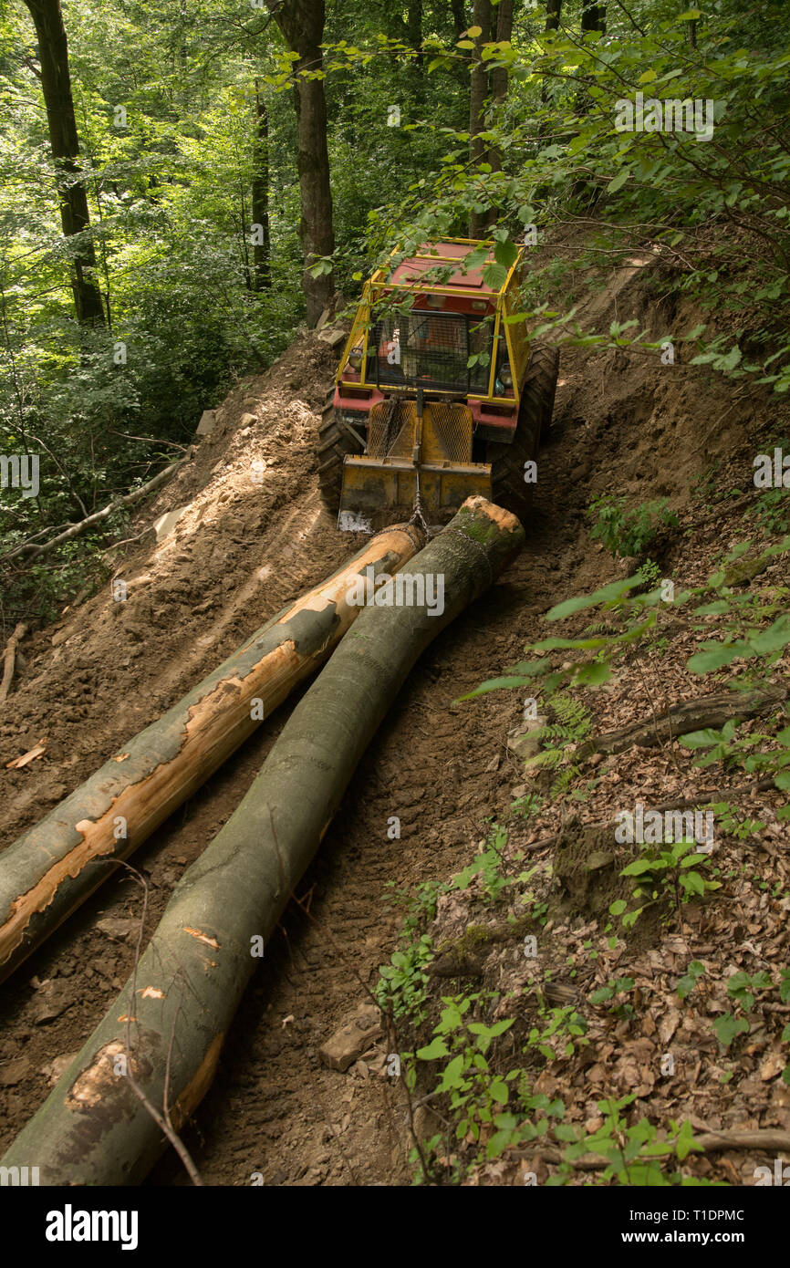 Lumber tractor hi-res stock photography and images - Alamy