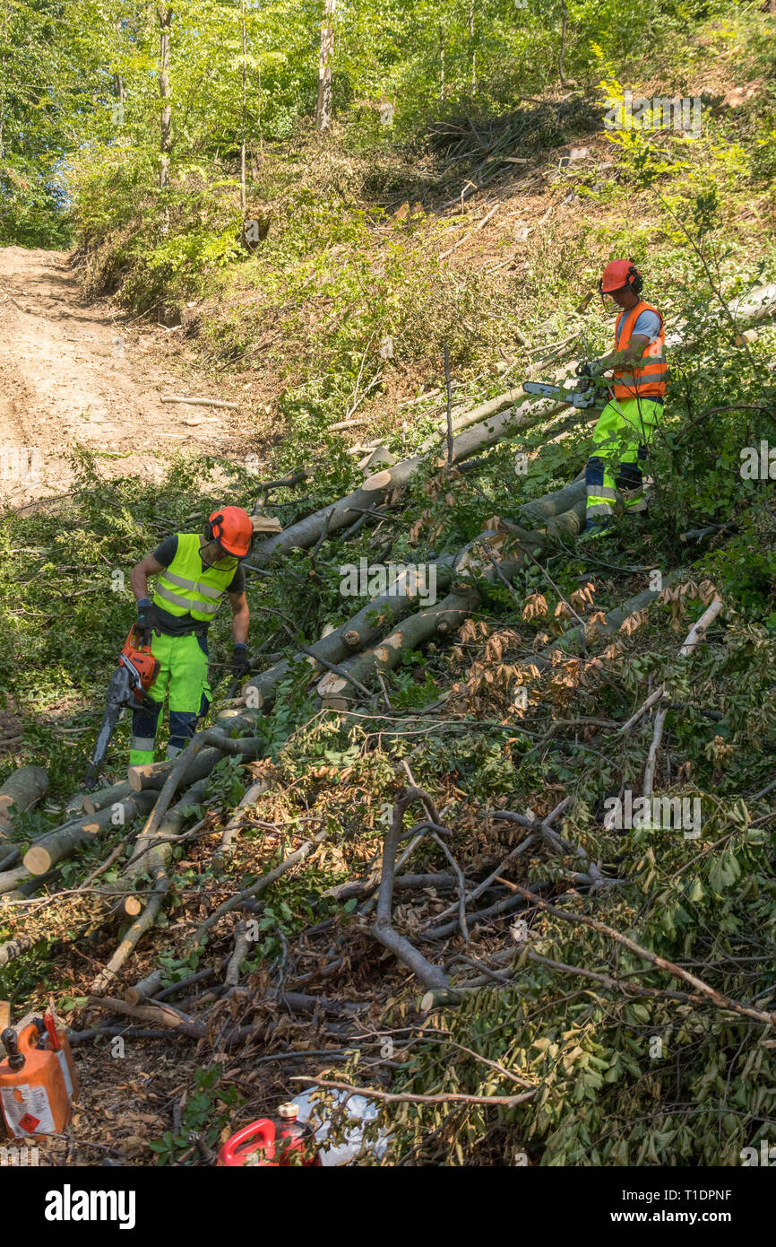 Woodcutter woodcutters hi-res stock photography and images - Alamy