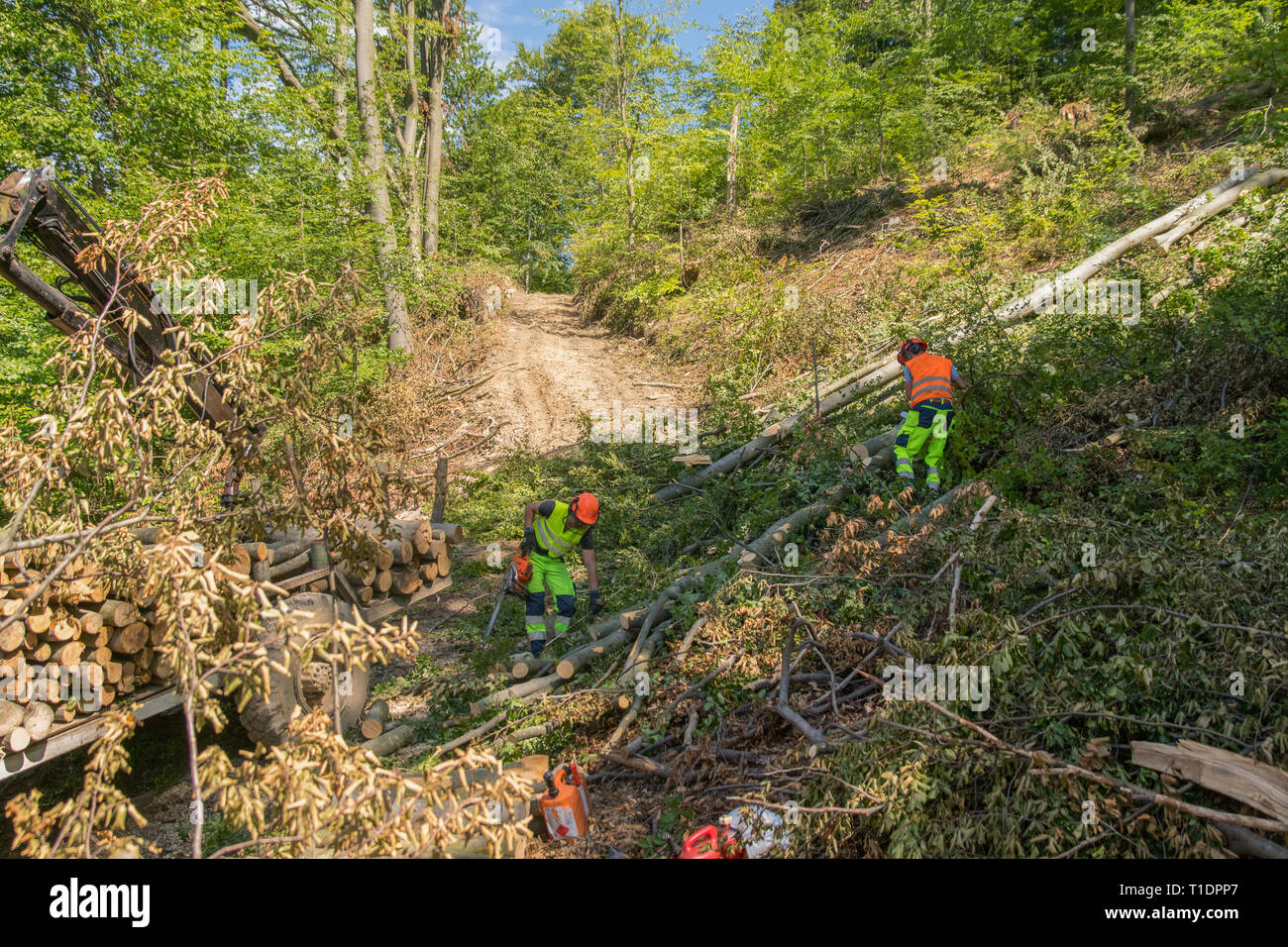 Woodcutter woodcutters hi-res stock photography and images - Alamy