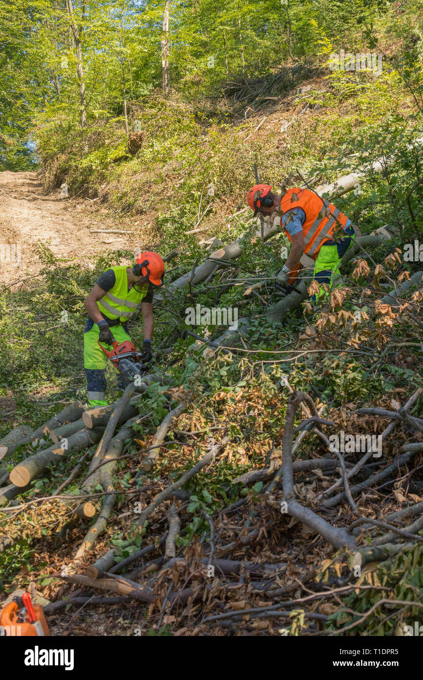 Woodcutter woodcutters hi-res stock photography and images - Alamy