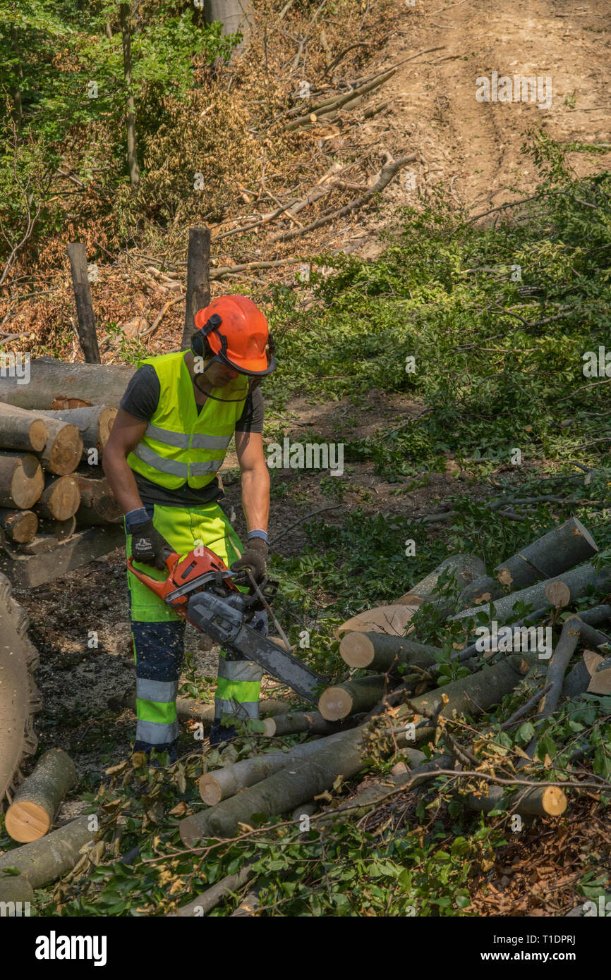 Woods and woodcutters hi-res stock photography and images - Alamy