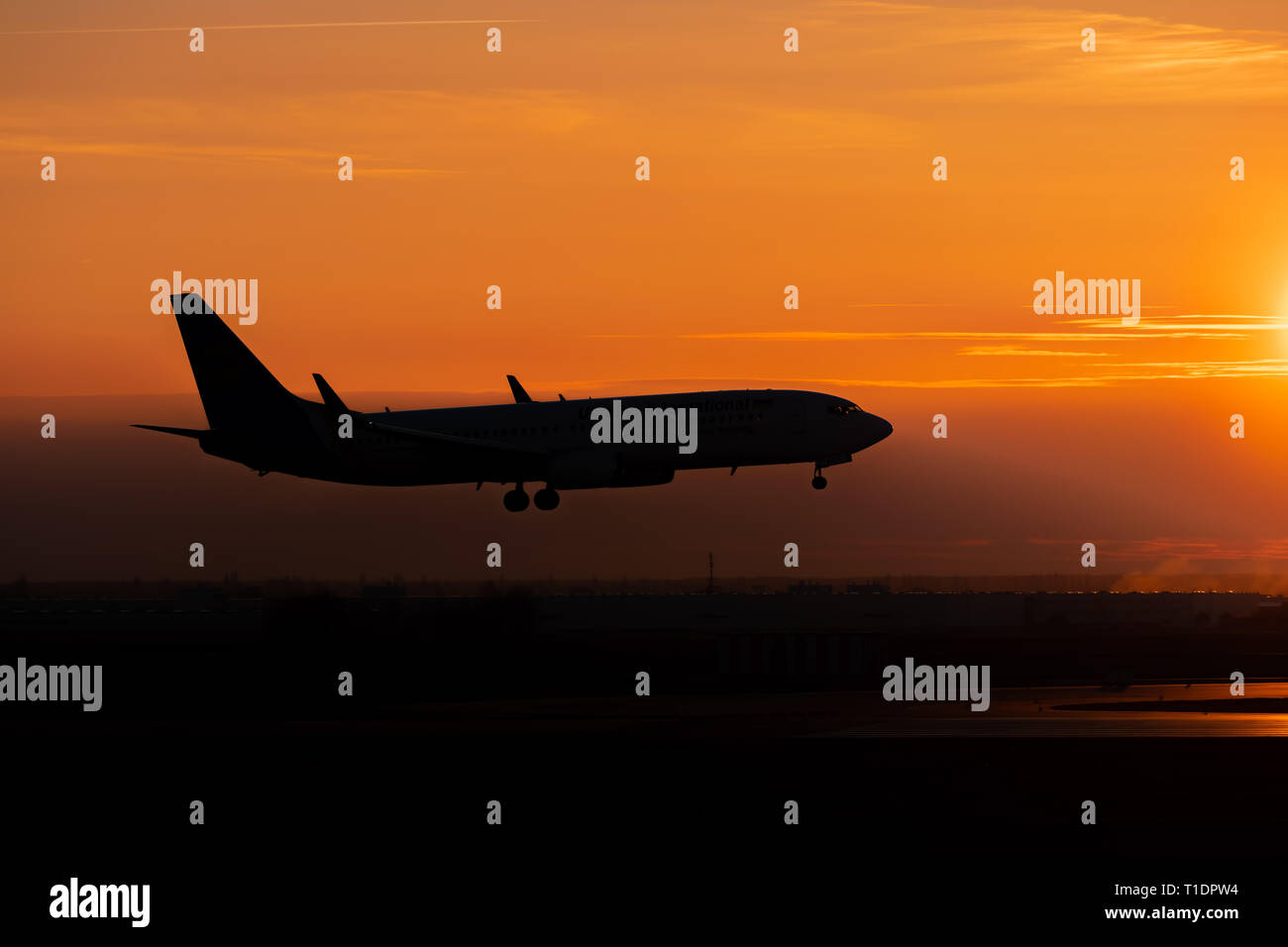 Passenger plane landing at the airport on sunset Stock Photo - Alamy