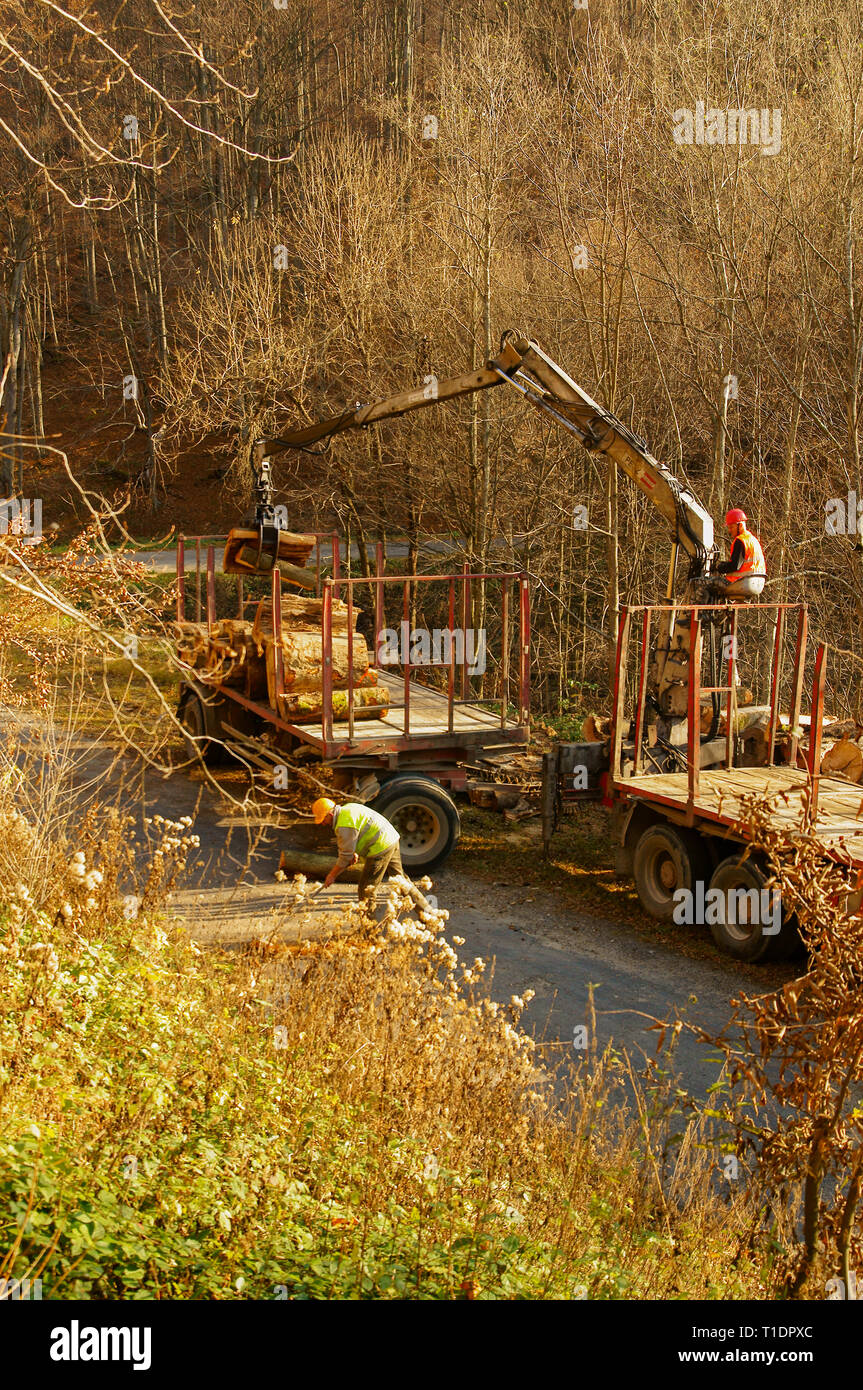 Wood Harvesting Machine High Resolution Stock Photography and Images ...