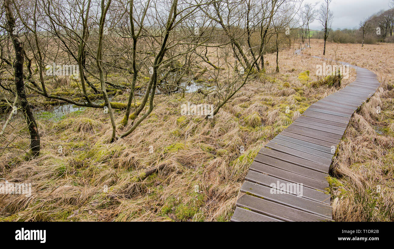 Tarn Moss boardwalk,Malham Stock Photo - Alamy
