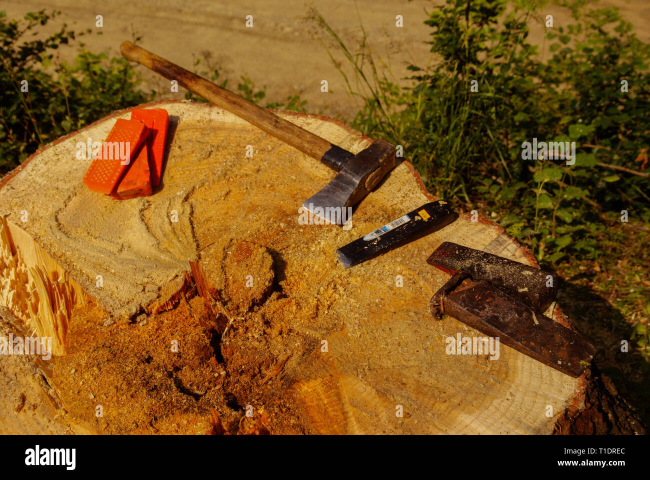 Hammer and wedges for cutting trees Stock Photo - Alamy