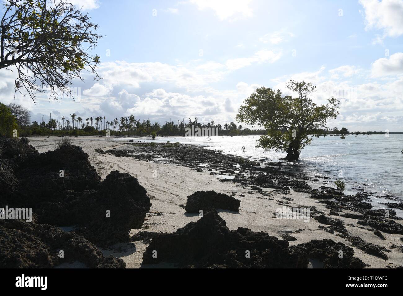 Quirimba Island, Quirimbas Archipelago, Mozambique, East Africa Stock ...
