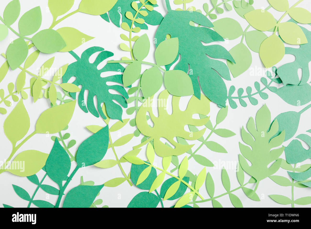 top view of green paper plants on white background Stock Photo - Alamy