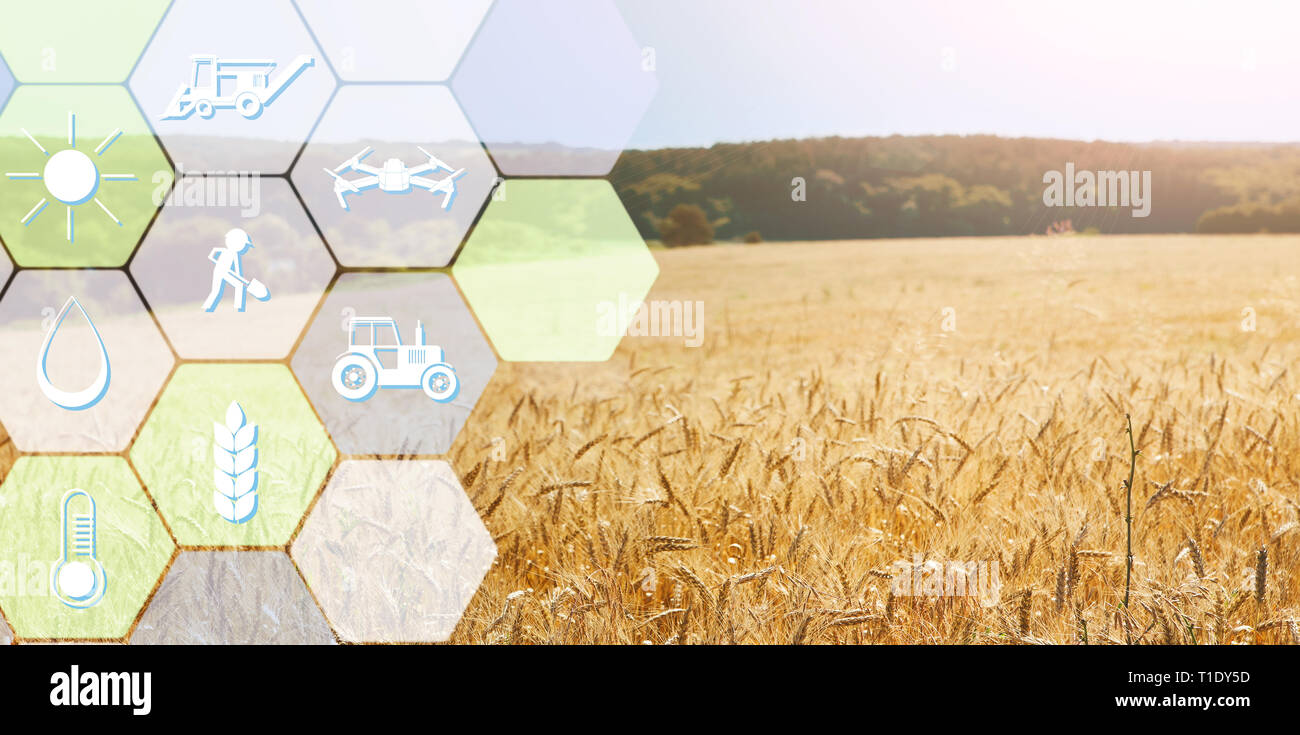 Digital icons for management and monitoring agriculture Stock Photo - Alamy