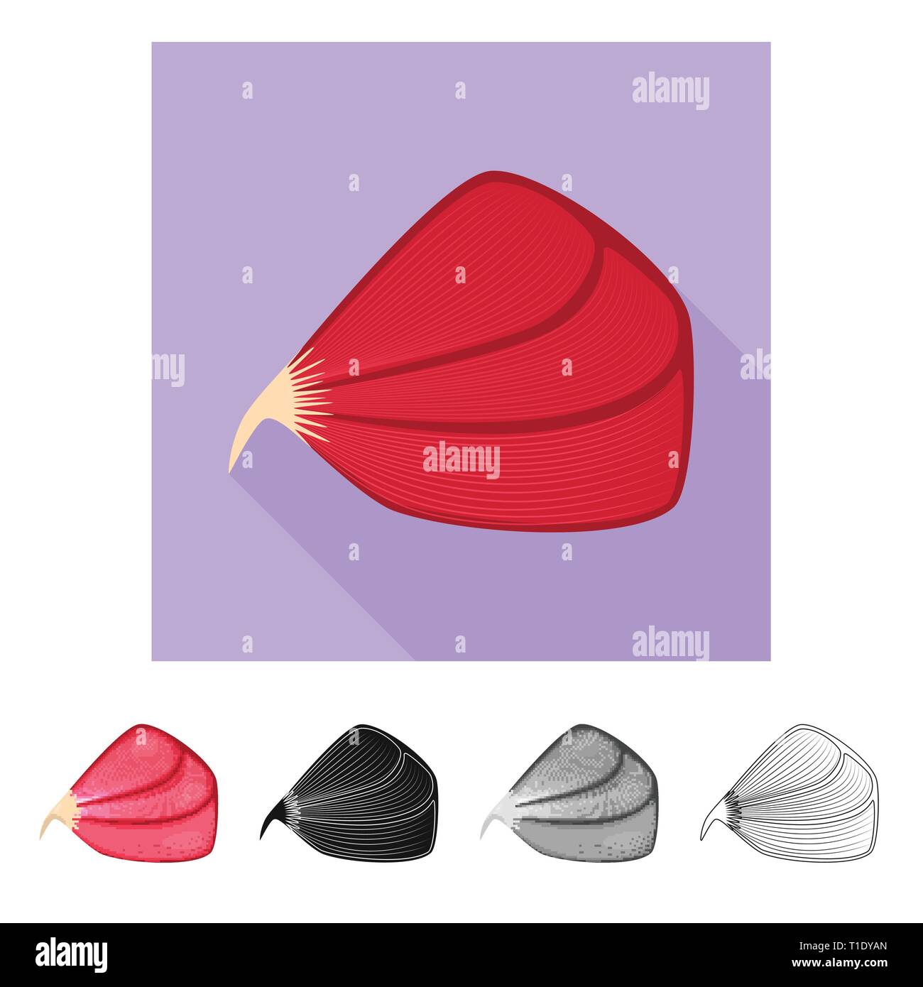 Vector design of fiber and muscular sign. Collection of fiber and body ...