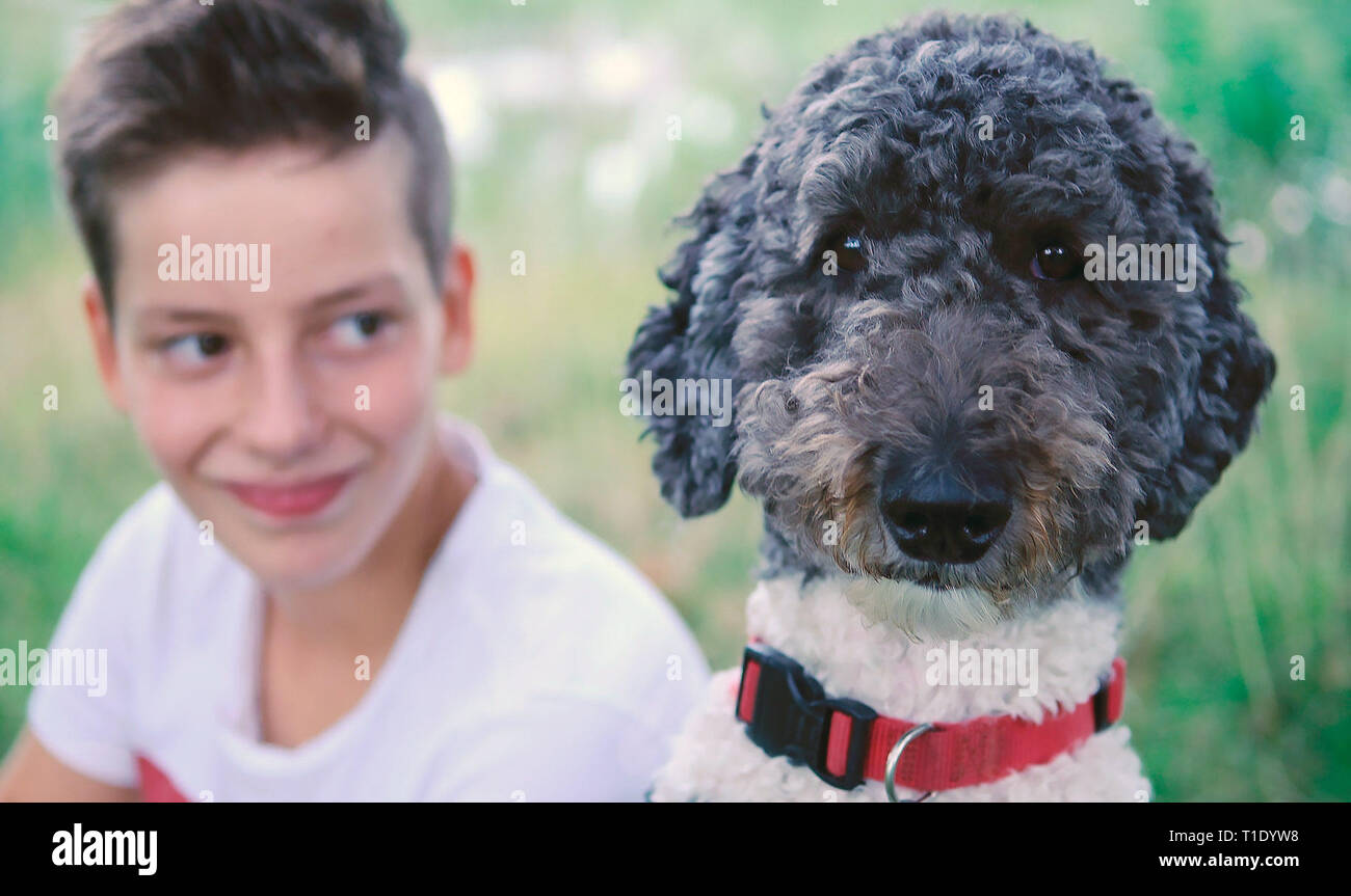 BUDDY, right: Utah (guide dog), 2018. © Amstelfilm / courtesy Everett ...