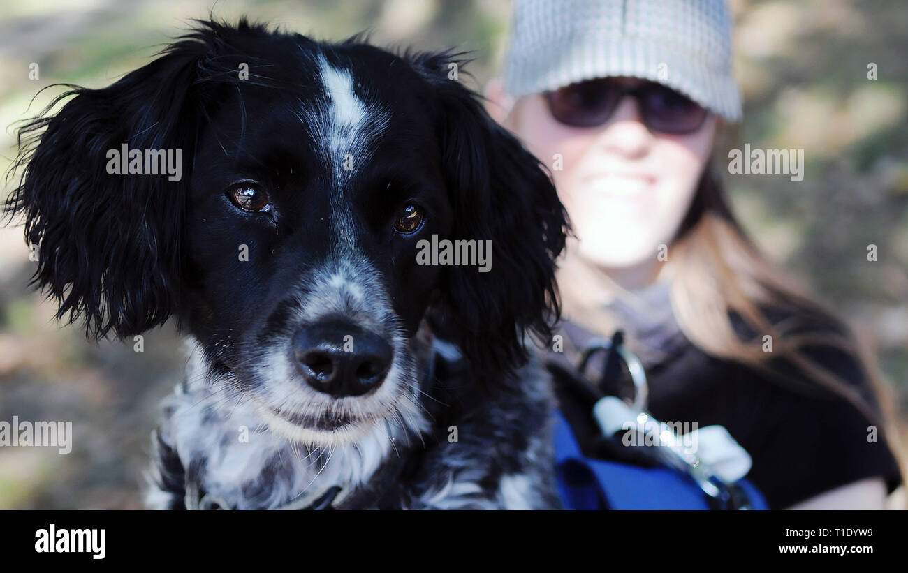 BUDDY, left: Kay (guide dog), 2018. © Amstelfilm / courtesy Everett ...