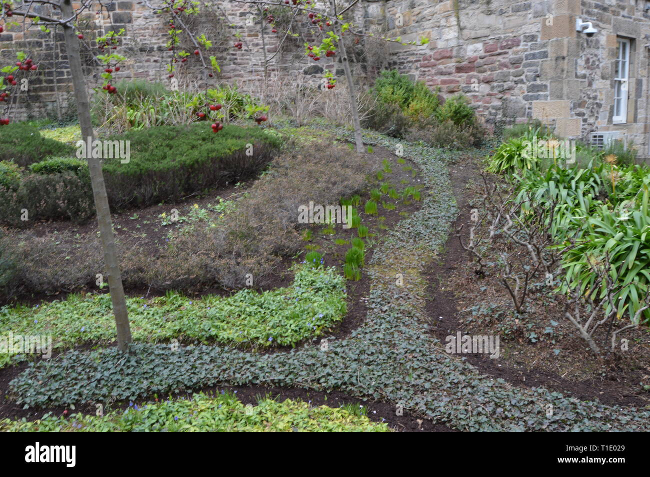 Public garden known as the Archivist's Garden, HM General Register ...