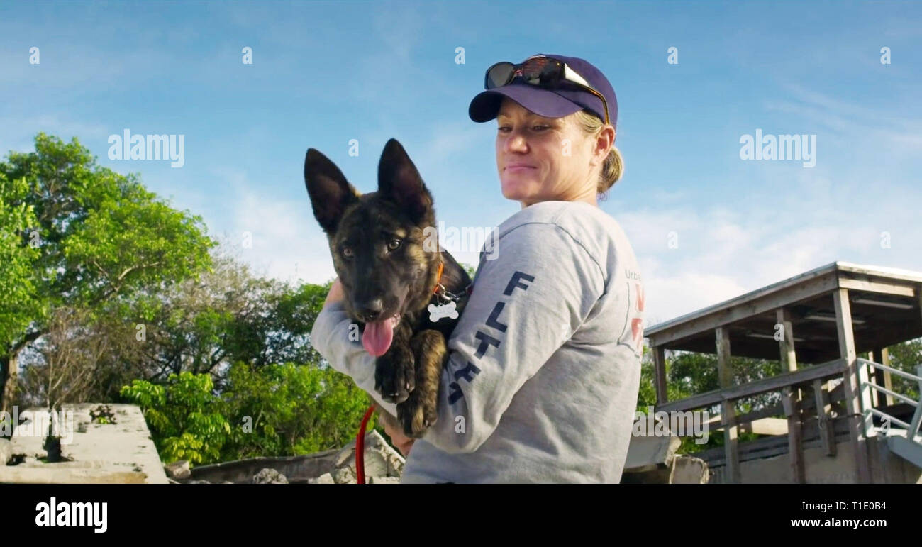 SUPERPOWER DOGS, Halo (Disaster Response - Miami, Florida) with human ...