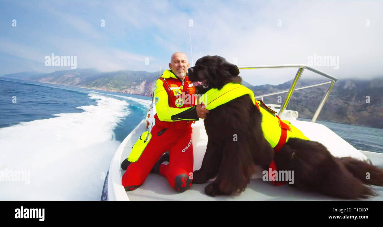 SUPERPOWER DOGS, Reef (water rescue - Milan, Italy) with human partner ...
