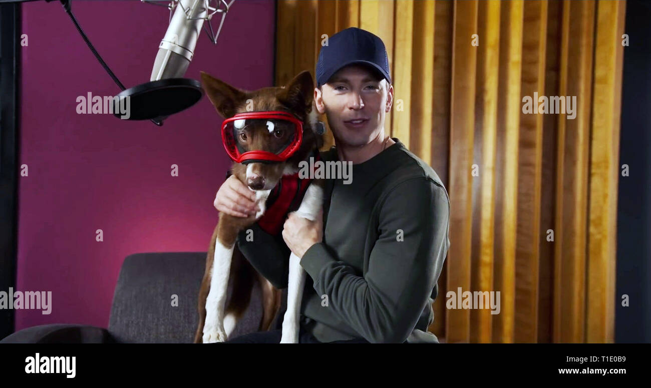 SUPERPOWER DOGS, Henry, narrator Chris Evans, 2019. © IMAX /courtesy ...