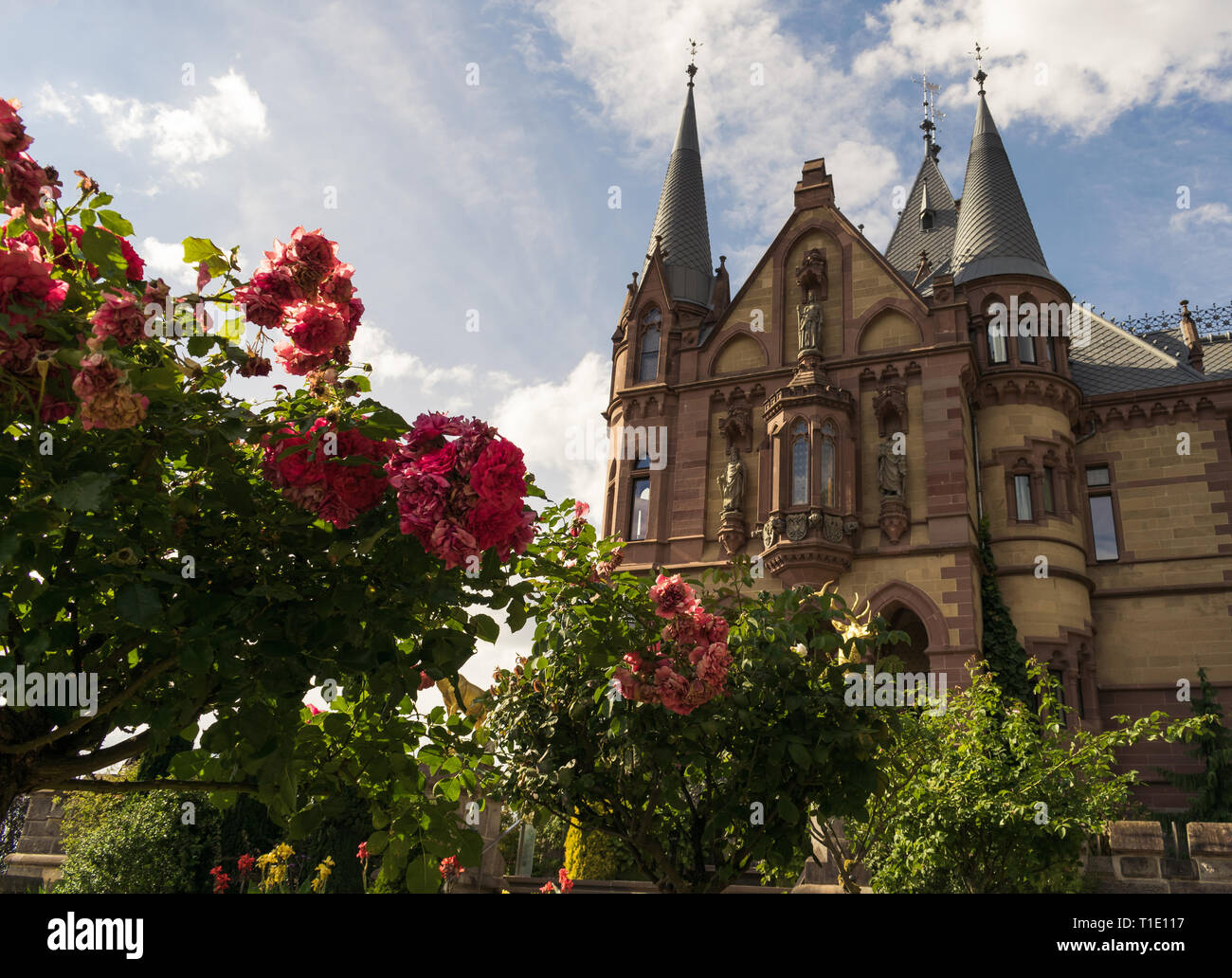 Drachenfels hi-res stock photography and images - Alamy