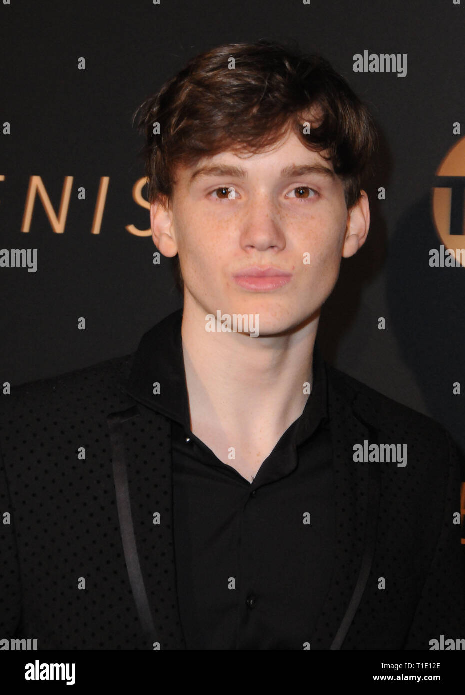 LOS ANGELES, CA - JANUARY 11: Actor Matt Lintz attends the Premiere of ...
