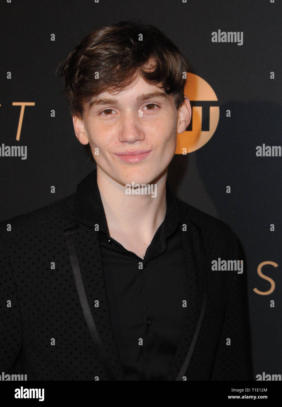 LOS ANGELES, CA - JANUARY 11: Actor Matt Lintz attends the Premiere of ...