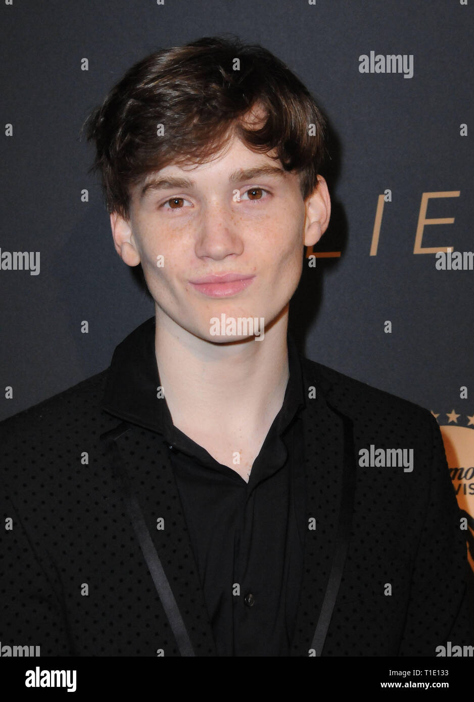 LOS ANGELES, CA - JANUARY 11: Actor Matt Lintz attends the Premiere of ...