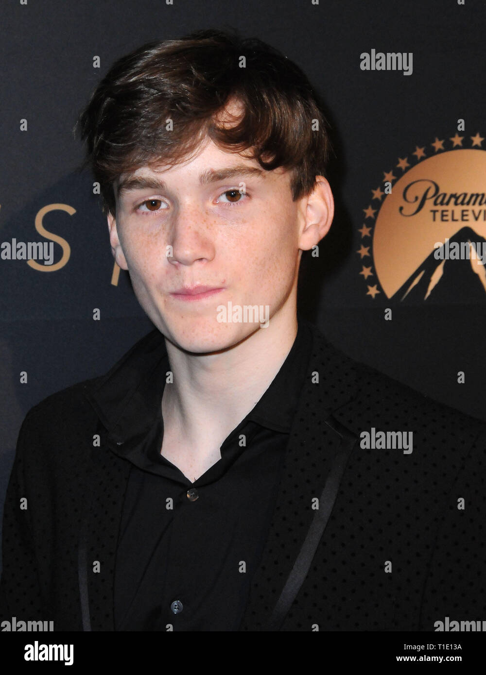 LOS ANGELES, CA - JANUARY 11: Actor Matt Lintz attends the Premiere of ...