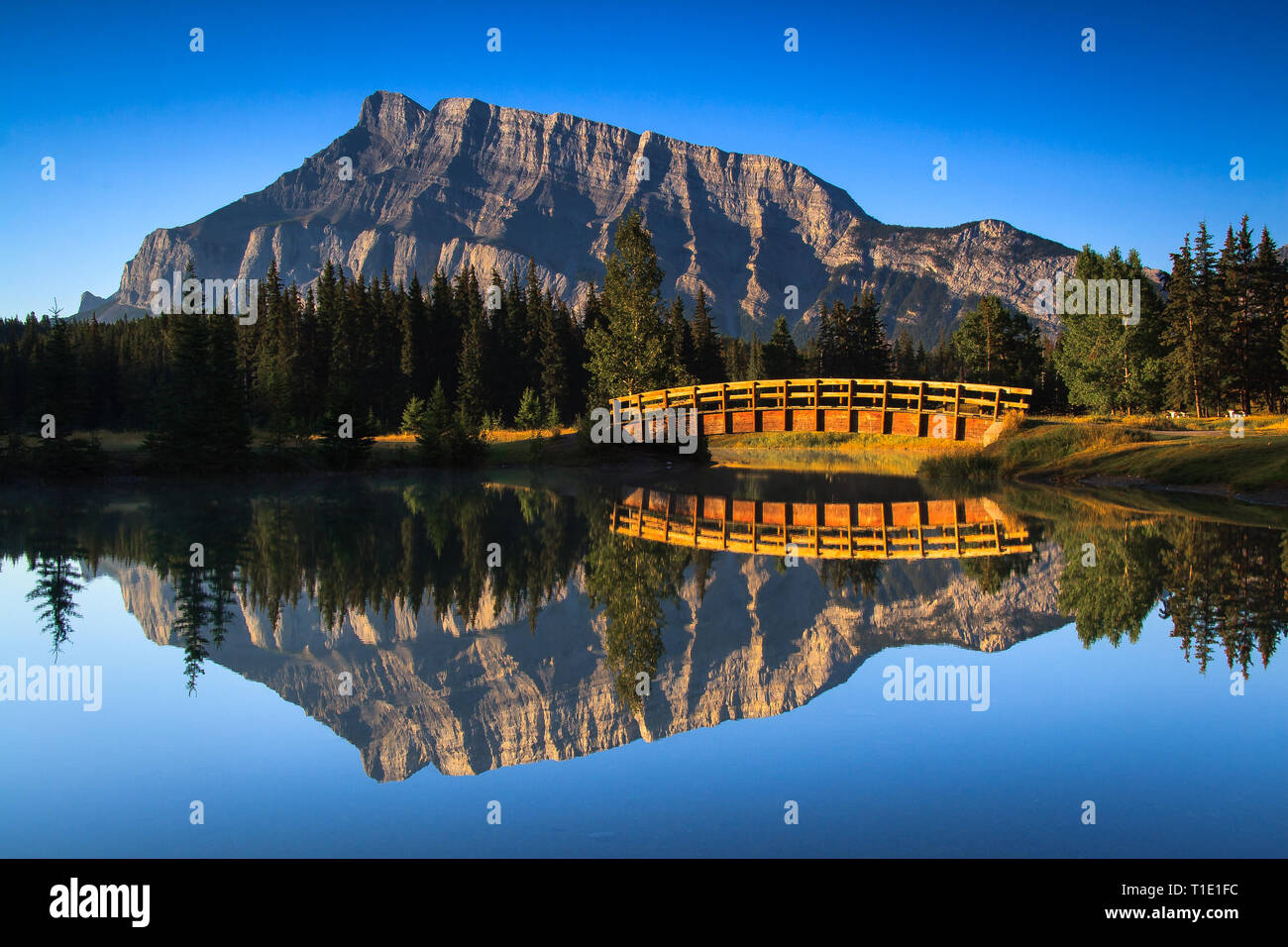 Perfect still reflection of Mount Rundle in Two Jack Lake in Banff ...