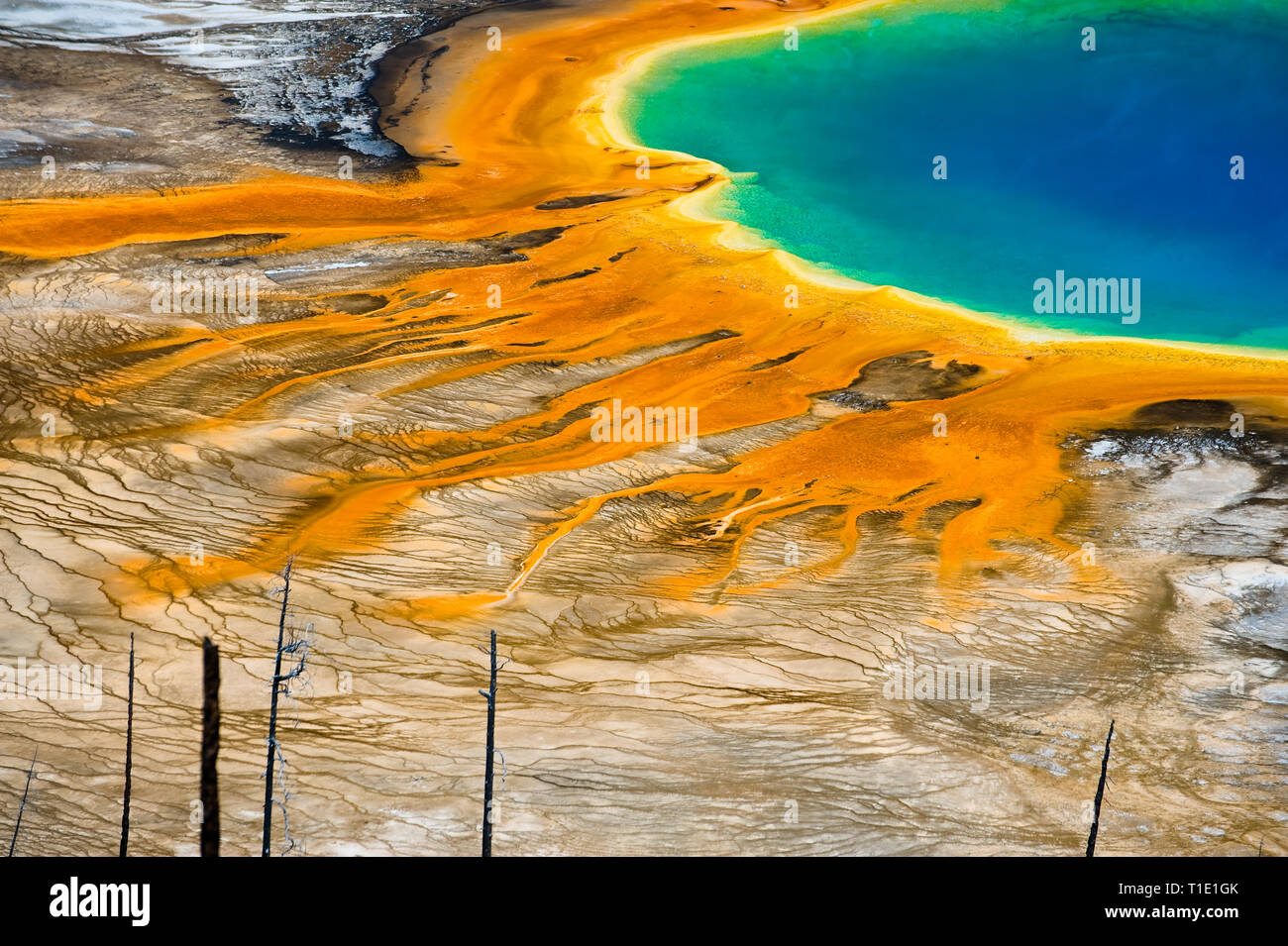Grand Prismatic Spring Stock Photo - Alamy